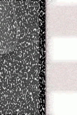 Base polymers | NFSA