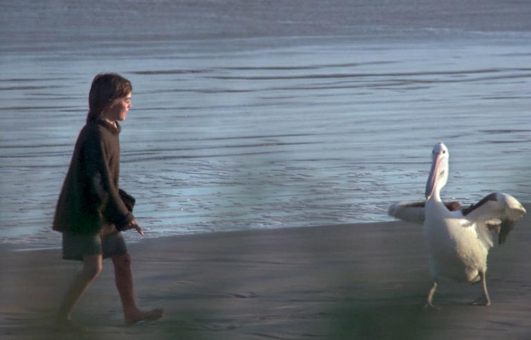 Greg Rowe and Mr Percival flapping wings | National Film and Sound ...