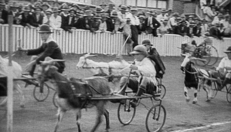Kid Stakes goat race | National Film and Sound Archive of Australia